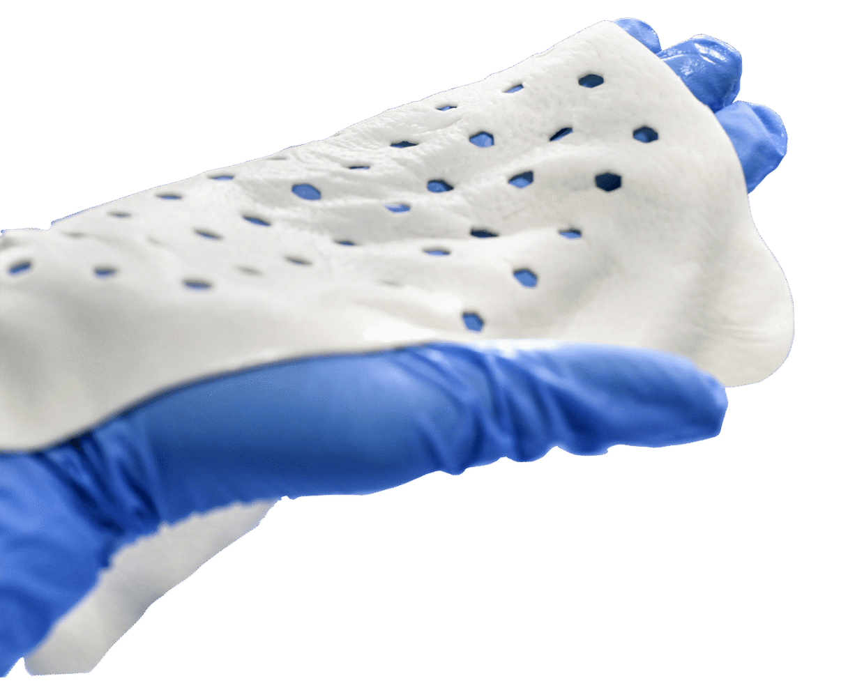 Cortiva 1MM Perforated - Cortiva